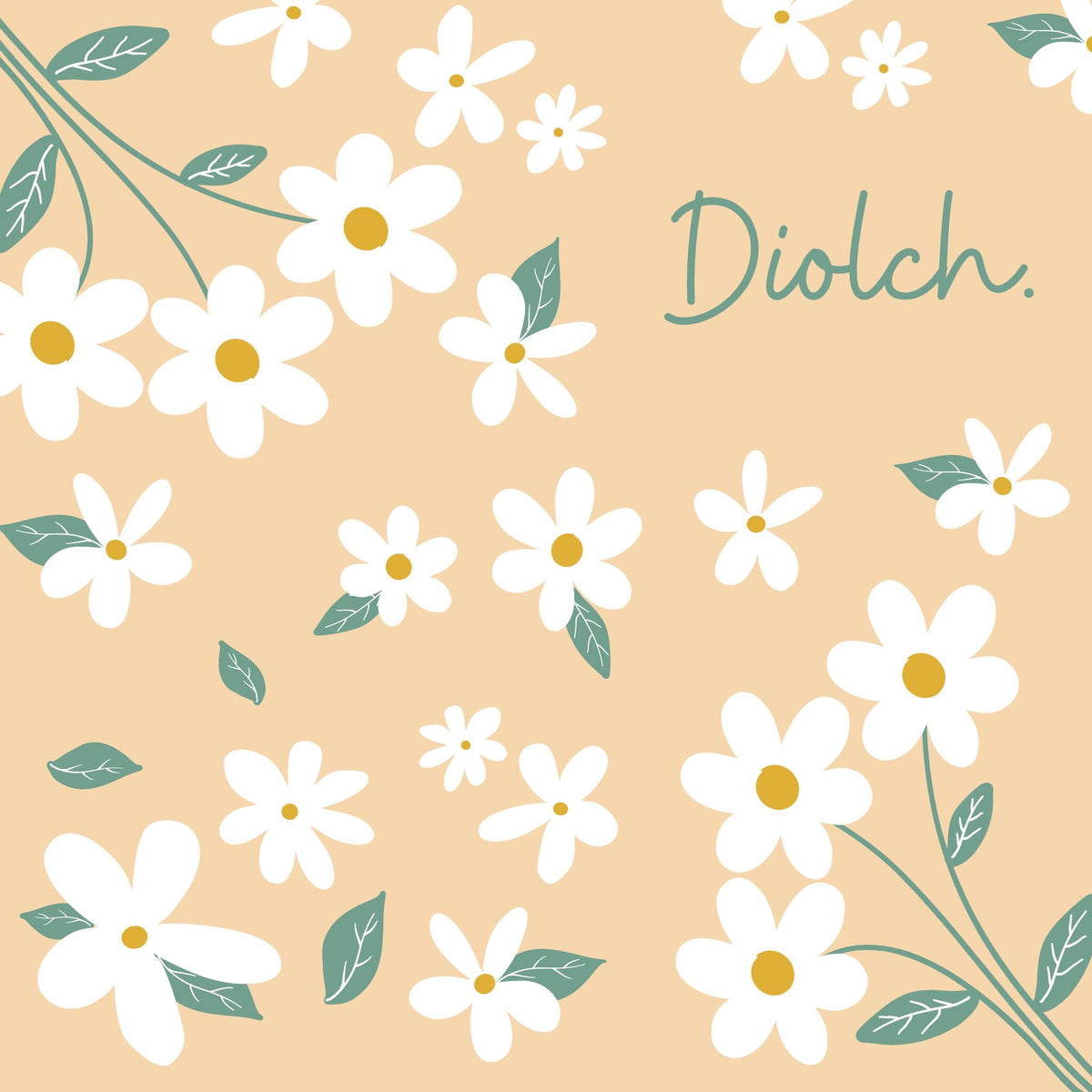 Diolch | Cardiau.Cymru — Siop Y Pentan